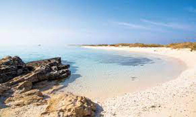 Top beaches to visit in Saudi Arabia | Al Nakhla Compound Riyadh